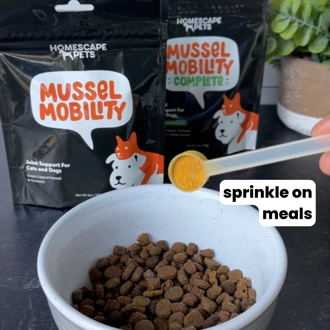 Green Lipped Mussel Mobility Pet Joint Supplement | Homescape Pets